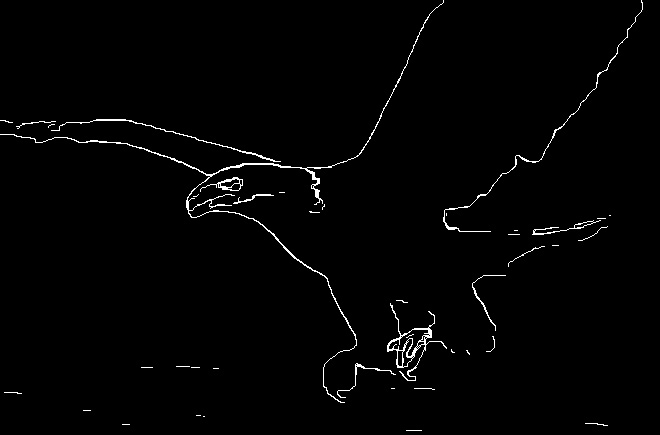 Image Sketch | Robouk Designs