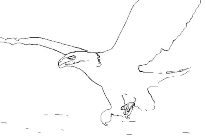 Image Sketch | Robouk Designs