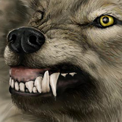 Photoshop Tutorials | Robouk Designs